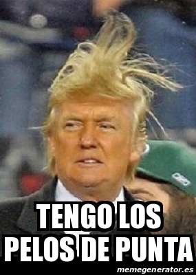 Meme Personalizado - Tengo los pelos de punta - 28721904