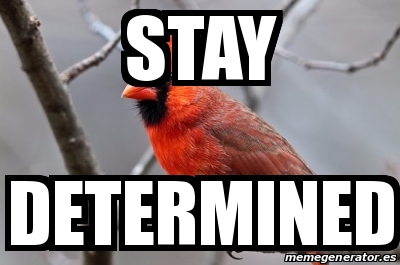 Meme Personalizado - stay determined - 28753476
