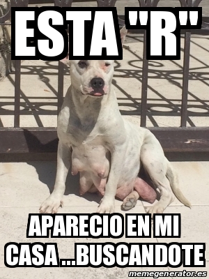 Meme Personalizado - ESTA "R" APARECIO EN MI CASA ...BUSCANDOTE - 28754697
