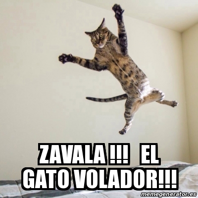 Meme Personalizado - Zavala !!! El gato volador!!! - 28761509