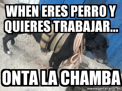 Meme Personalizado - When eres perro y quieres trabajar... Onta la ...