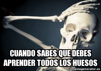 Meme Personalizado - cuando sabes que debes aprender todos los huesos ...