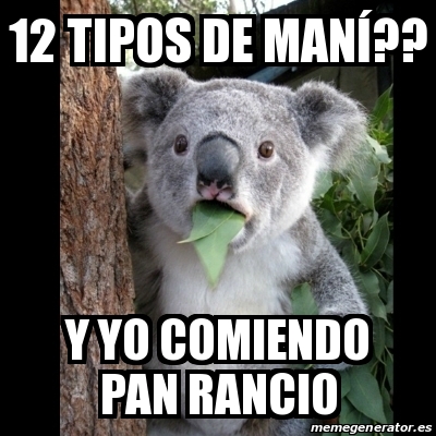 Meme Koala - 12 tipos de manÃ­?? Y yo comiendo pan rancio - 28888606