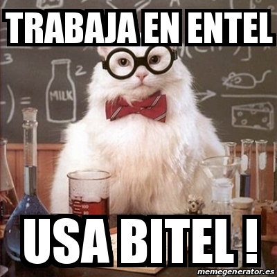Meme Chemistry Cat - TRABAJA EN ENTEL USA BITEL ! - 28889942