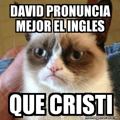 Meme Grumpy Cat - David pronuncia mejor el Ingles Que Cristi - 28934464
