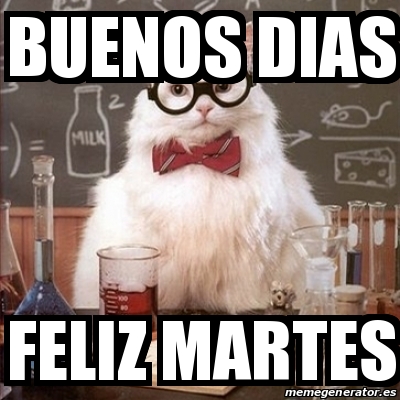Meme Chemistry Cat - Buenos dias Feliz martes - 29173926