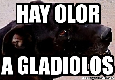 Meme Personalizado - Hay olor A gladiolos - 29216016