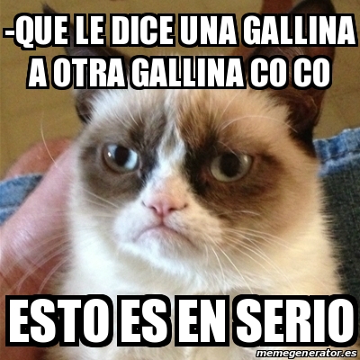 Meme Grumpy Cat - -que le dice una gallina a otra gallina co co esto es ...
