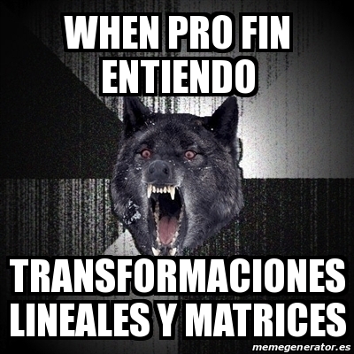 Meme Insanity Wolf - WHEN PRO FIN ENTIENDO TRANSFORMACIONES LINEALES Y ...