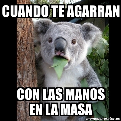 Meme Koala - cuando te agarran con las manos en la masa - 29267188