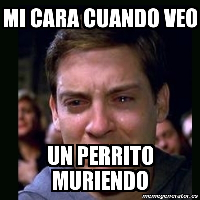 Meme crying peter parker - mi cara cuando veo un perrito muriendo ...
