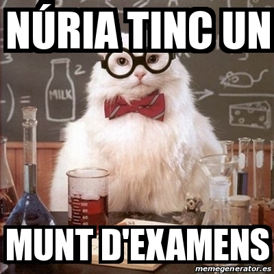 Meme Chemistry Cat - NÃºria tinc un Munt d'examens - 29315431