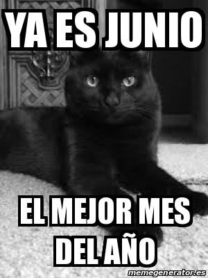 Meme Personalizado - YA ES Junio EL MEJOR MES DEL AÃ‘O - 29342730
