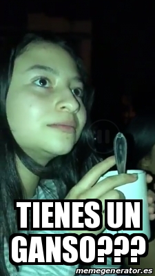 Meme Personalizado - Tienes un ganso??? - 29378083