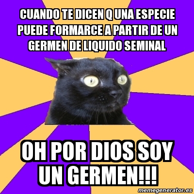 Meme Anxiety Cat - CUANDO TE DICEN Q UNA ESPECIE PUEDE FORMARCE A ...