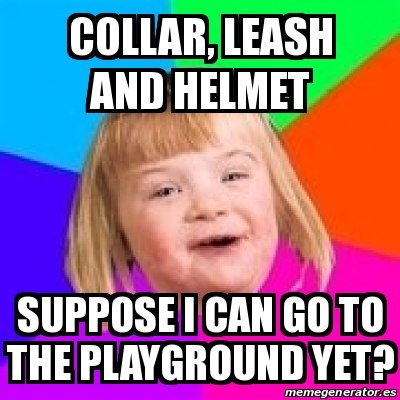 Meme Retard Girl - Collar, leash and helmet Suppose I can go to the ...