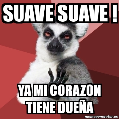 Meme Chill Out Lemur - Suave suave ! Ya mi corazon tiene dueÃ±a - 29473391