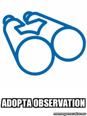 Meme Personalizado - adopta observation - 29528222