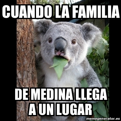 Meme Koala - Cuando la familia De Medina llega a un lugar - 29538057