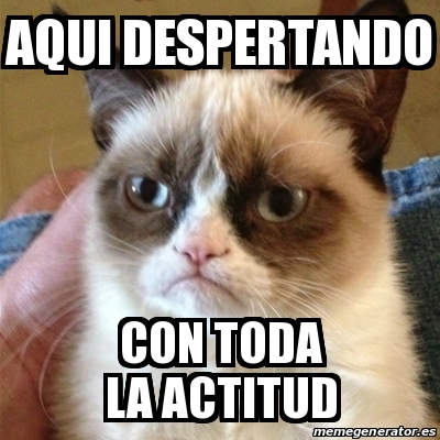 Meme Grumpy Cat - Aqui despertando Con toda la actitud - 29545061