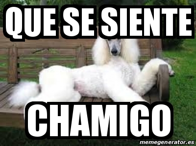 Meme Personalizado - que se siente chamigo - 29578437
