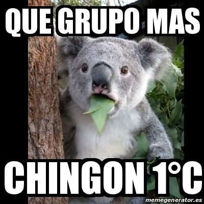 Meme Koala - que grupo mas chingon 1Â°c - 29595680