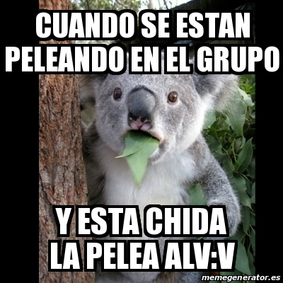 Meme Koala - Cuando Se Estan Peleando En el Grupo Y Esta Chida La Pelea ...