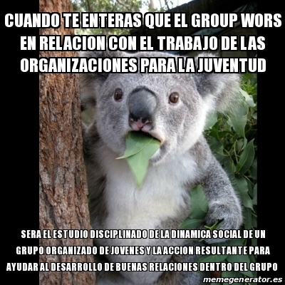 Meme Koala - cuando te enteras que el group wors en relacion con el ...