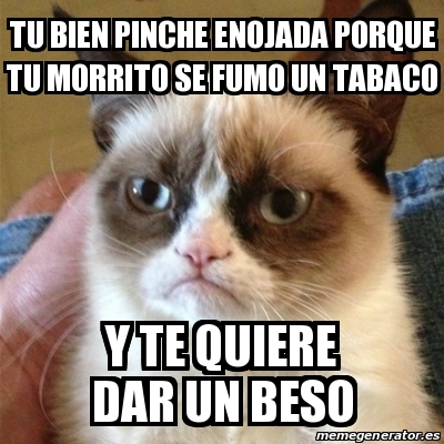 Meme Grumpy Cat - Tu bien pinche enojada porque tu morrito se fumo un ...
