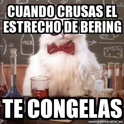 Meme Chemistry Cat - cuando crusas el estrecho de bering te congelas ...