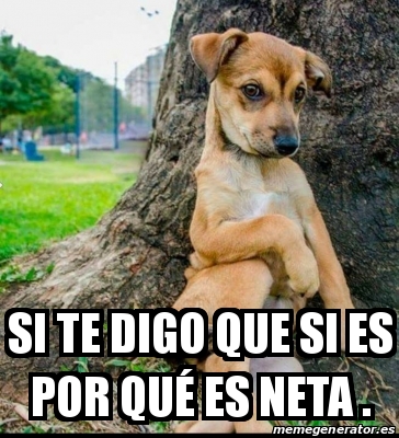 Meme Personalizado - Si te digo que si es por quÃ© es Neta . - 29713683