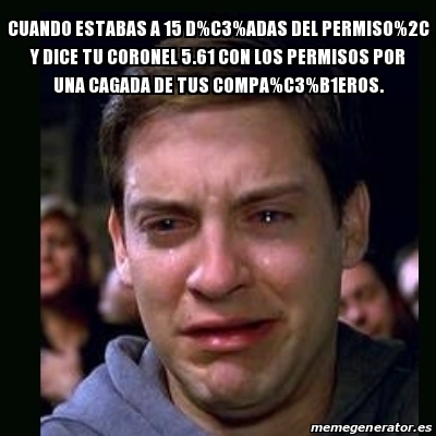 Meme crying peter parker - Cuando estabas a 15 D%C3%ADas del permiso%2C ...