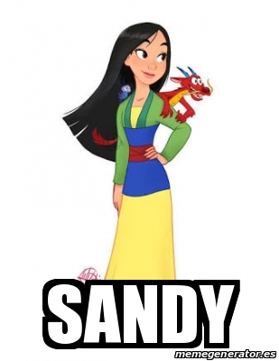 Meme Personalizado - SANDY - 29747828