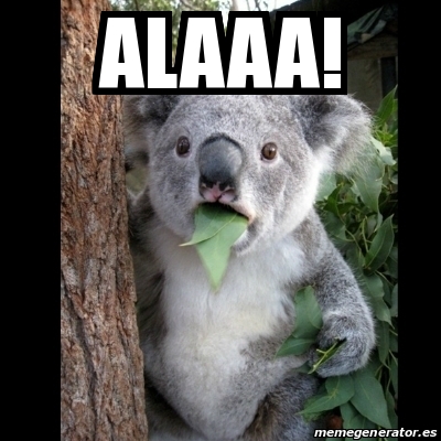 Meme Koala - Alaaa! - 29766913