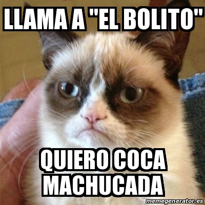 Meme Grumpy Cat - Llama a "EL BOLITO" Quiero coca machucada - 29769512