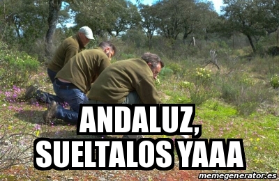 Meme Personalizado - Andaluz, sueltalos yaaa - 29778746