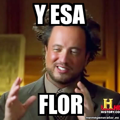 Meme Ancient Aliens - Y esa Flor - 29782640