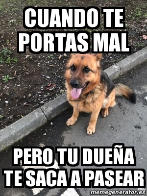 Meme Personalizado - cuando te portas mal pero tu dueÃ±a te saca a ...