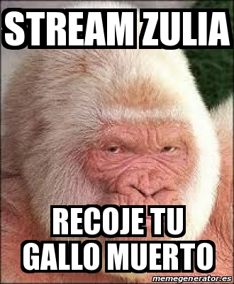 Meme Personalizado - STREAM ZULIA RECOJE TU GALLO MUERTO - 29792137