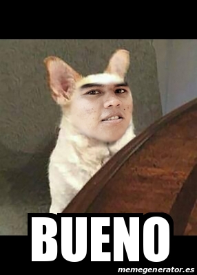 Meme Personalizado - BUENO - 29797464