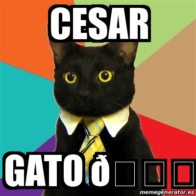Meme Business Cat - Cesar GATO ðŸ˜‚ - 29085045