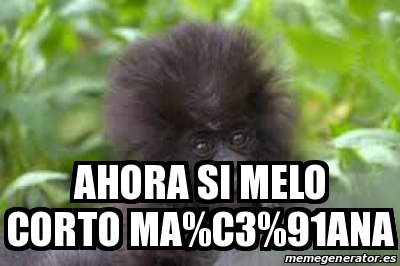 Meme Personalizado - AHORA SI MELO CORTO MA%C3%91ANA - 29806379