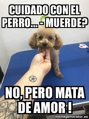 Meme Personalizado - Cuidado con el perro... - Muerde? No, pero mata de ...