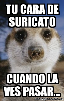 Meme Personalizado - Tu cara de suricato Cuando la ves pasar... - 29828385