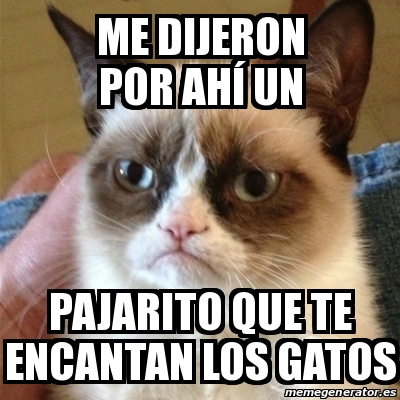 Meme Grumpy Cat - Me dijeron por ahÃ­ un pajarito que te encantan los ...