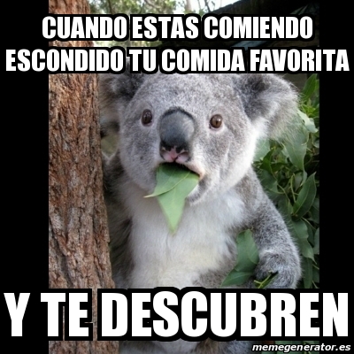 Meme Koala - cuando estas comiendo escondido tu comida favorita y te ...