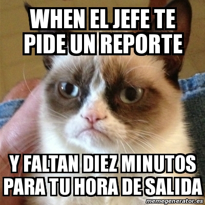 Meme Grumpy Cat - WHEN EL JEFE TE PIDE UN REPORTE Y FALTAN DIEZ MINUTOS ...