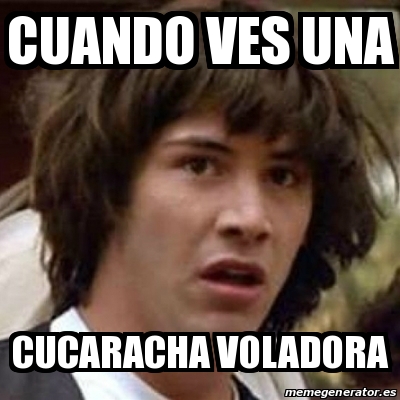 Meme Keanu Reeves - cuando ves una cucaracha voladora - 29957290