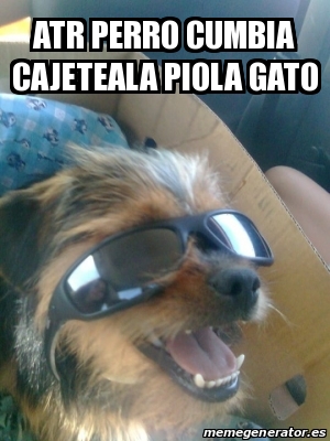Meme Personalizado - ATR perro cumbia cajeteala piola gato - 29966549
