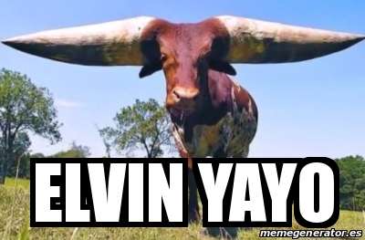 Meme Personalizado - Elvin Yayo - 29981331